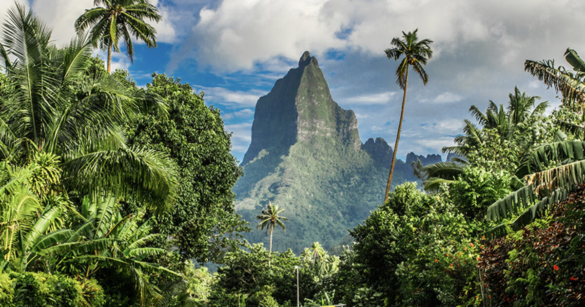 Compenser les émissions de CO2 d’un voyage | Air Tahiti Nui