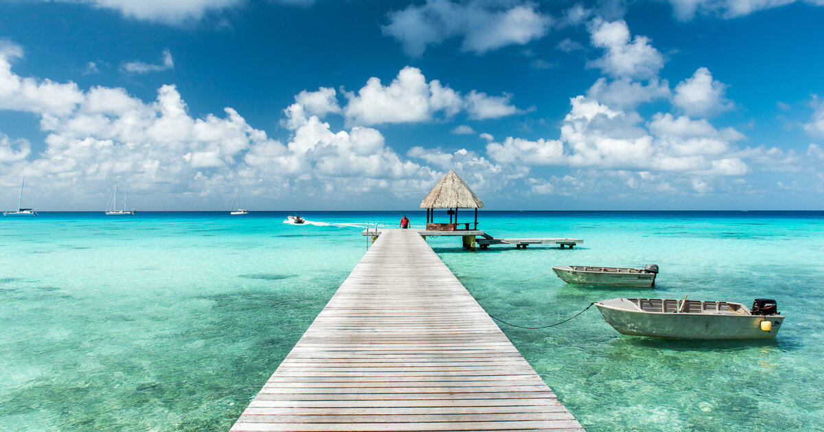 Où faire de la plongée à Rangiroa ? Nos conseils | Air Tahiti Nui